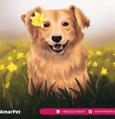 Codezen Technologies Limited